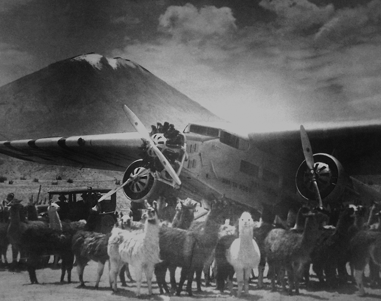 Los Primero 90 años de Michell - Expotextil Perú